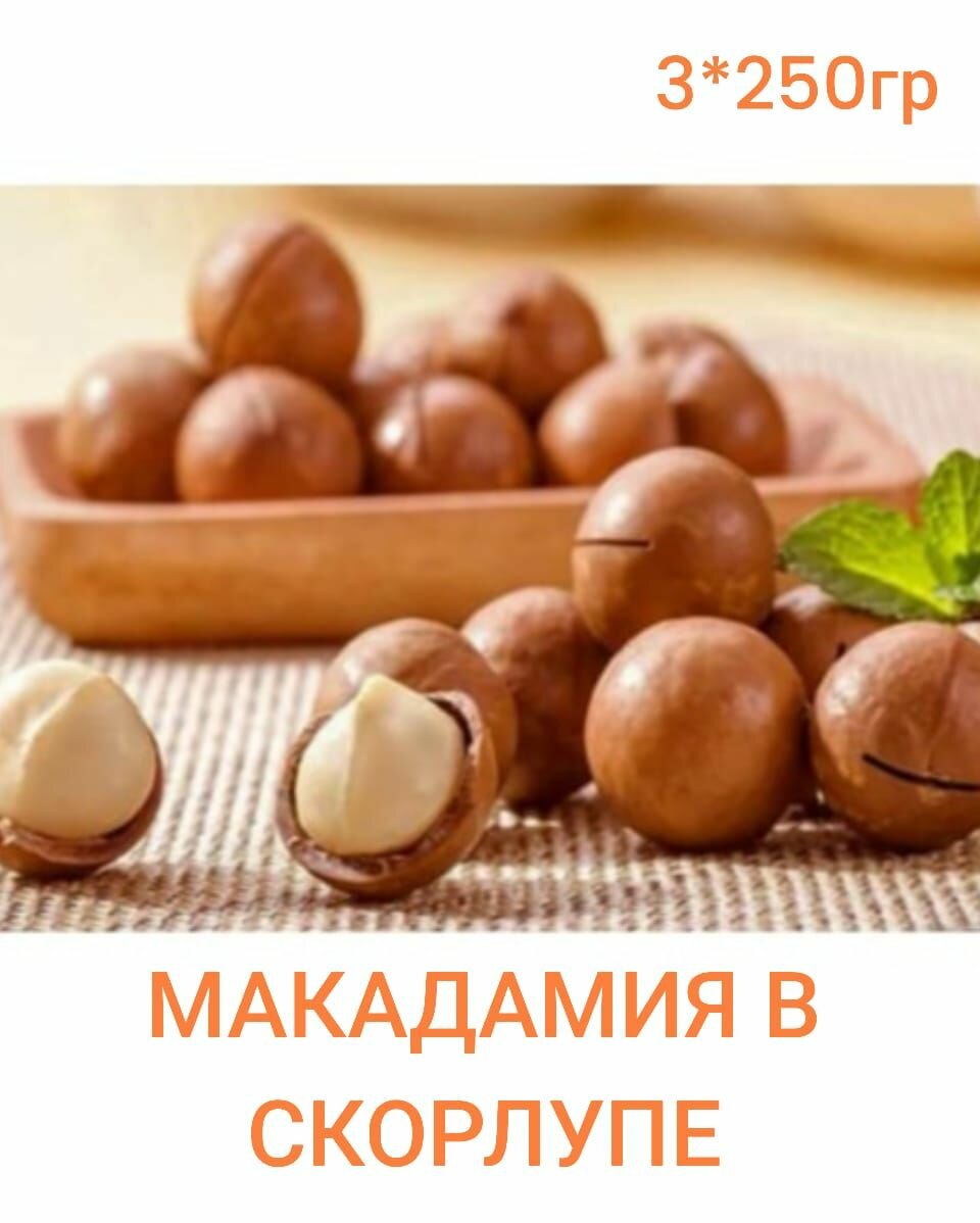 Макадамия в скорлупе
