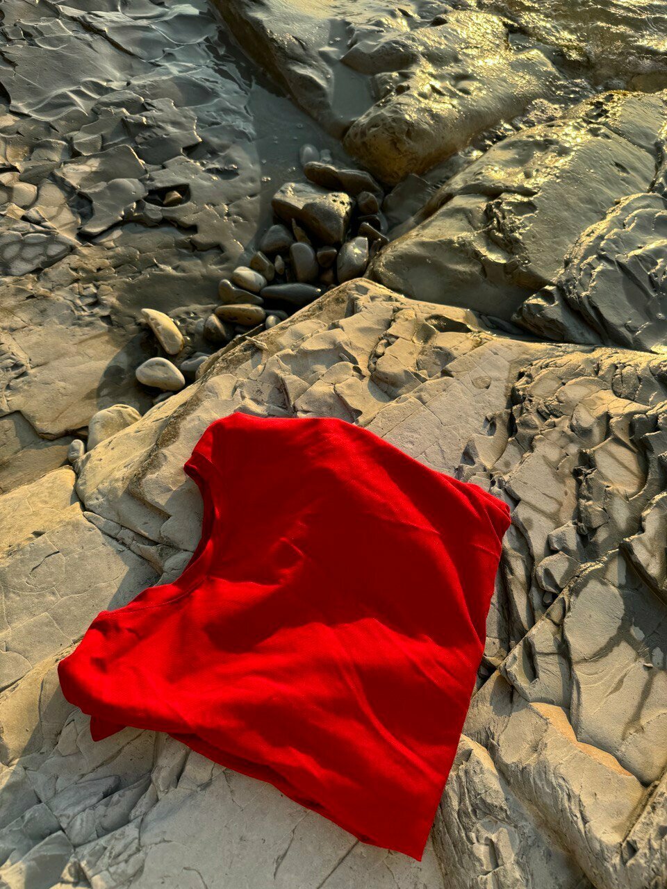 Лонгслив  basic