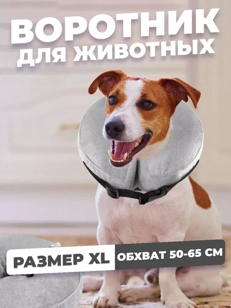 Защитный воротник для собак на шею, мягкий надувной серый, размер XL