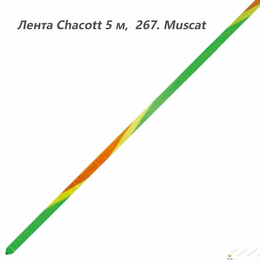 Лента для гимнастики