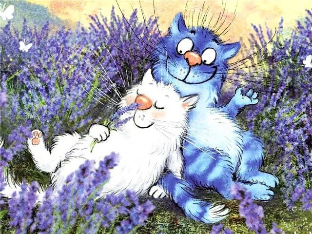 Алмазная картина «Кот» Huacan Синий, Full Round 20X30cm, 3401