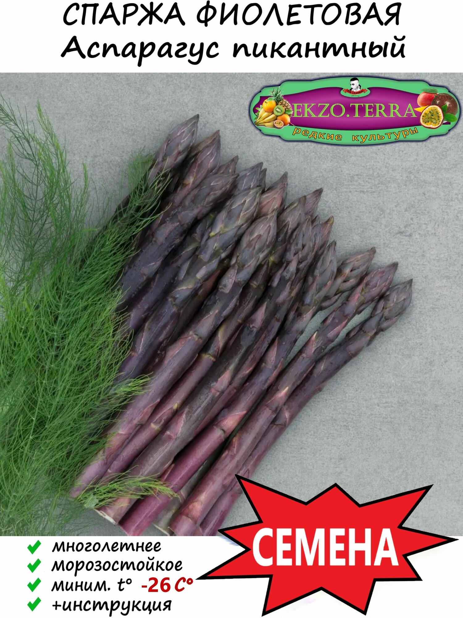 Семена Спаржа Фиолетовая "Аспарагус Пикантный" 10 шт.