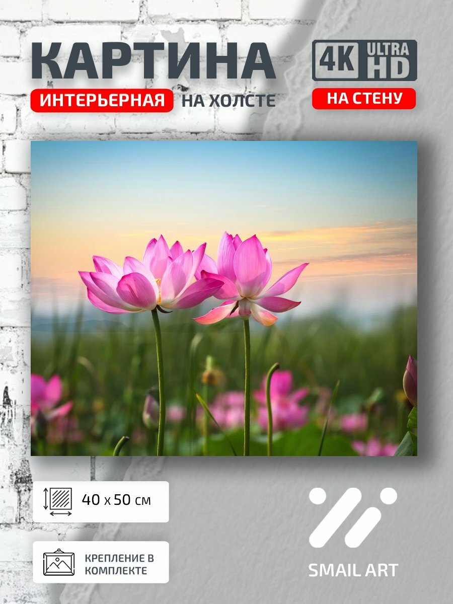 Картина на холсте интерьерная 40 на 50 на стену Поле Landscape для кафе пейзаж интерьер
