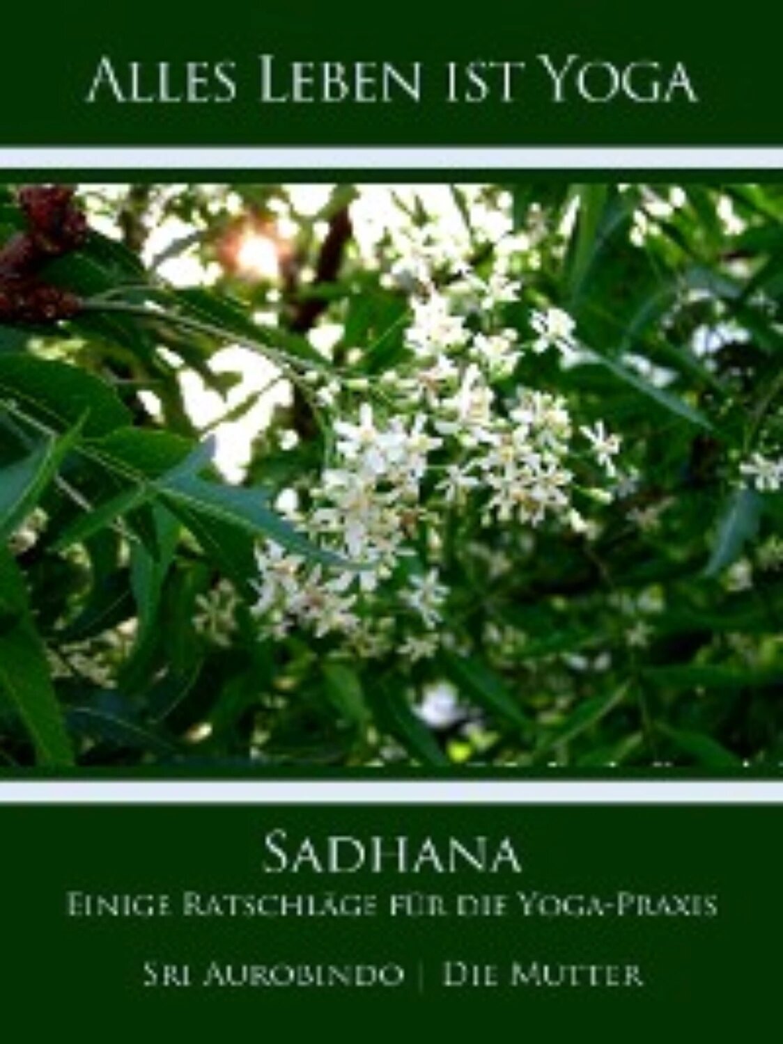 Sadhana [Цифровая книга]