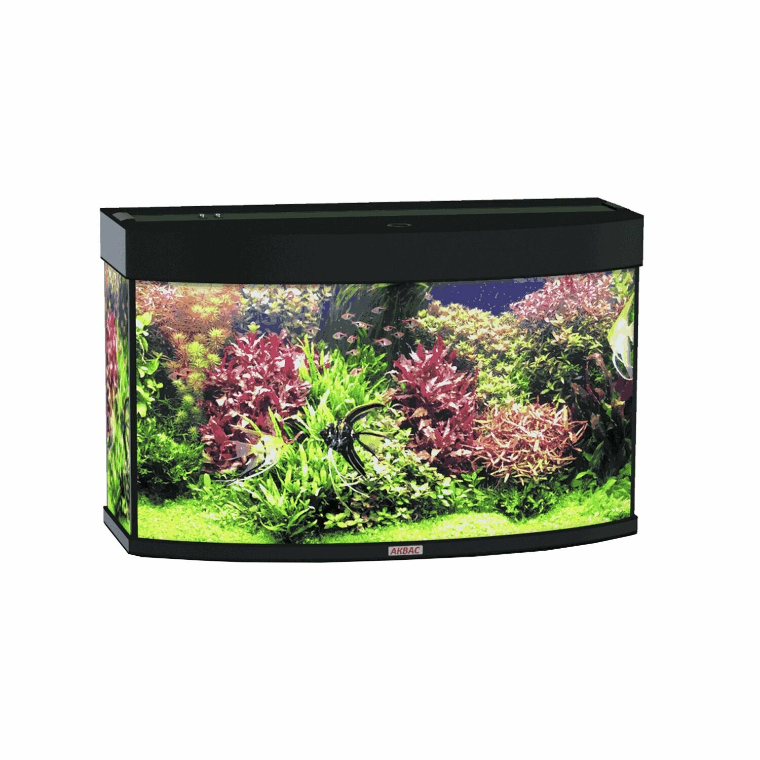 Аквариум панорамный 160 литров с крышкой и освещением (92*42*57 см) Аквас