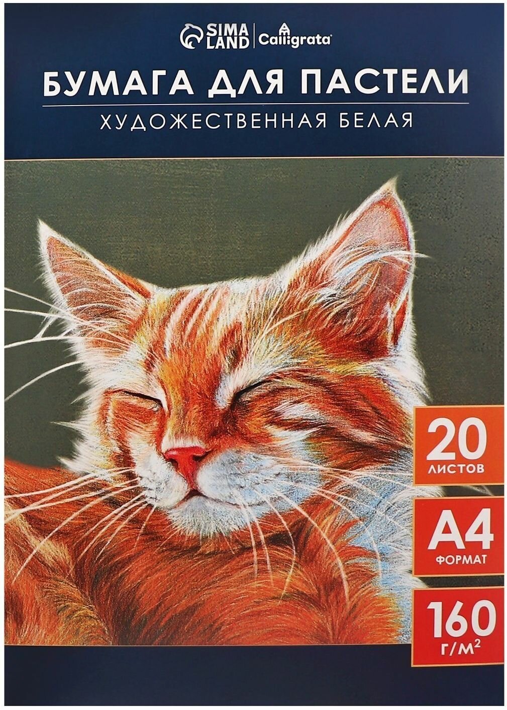 Бумага для пастели "Кот" белая, формат А4, набор из 20 листов, плотность 160 г/м2, в папке