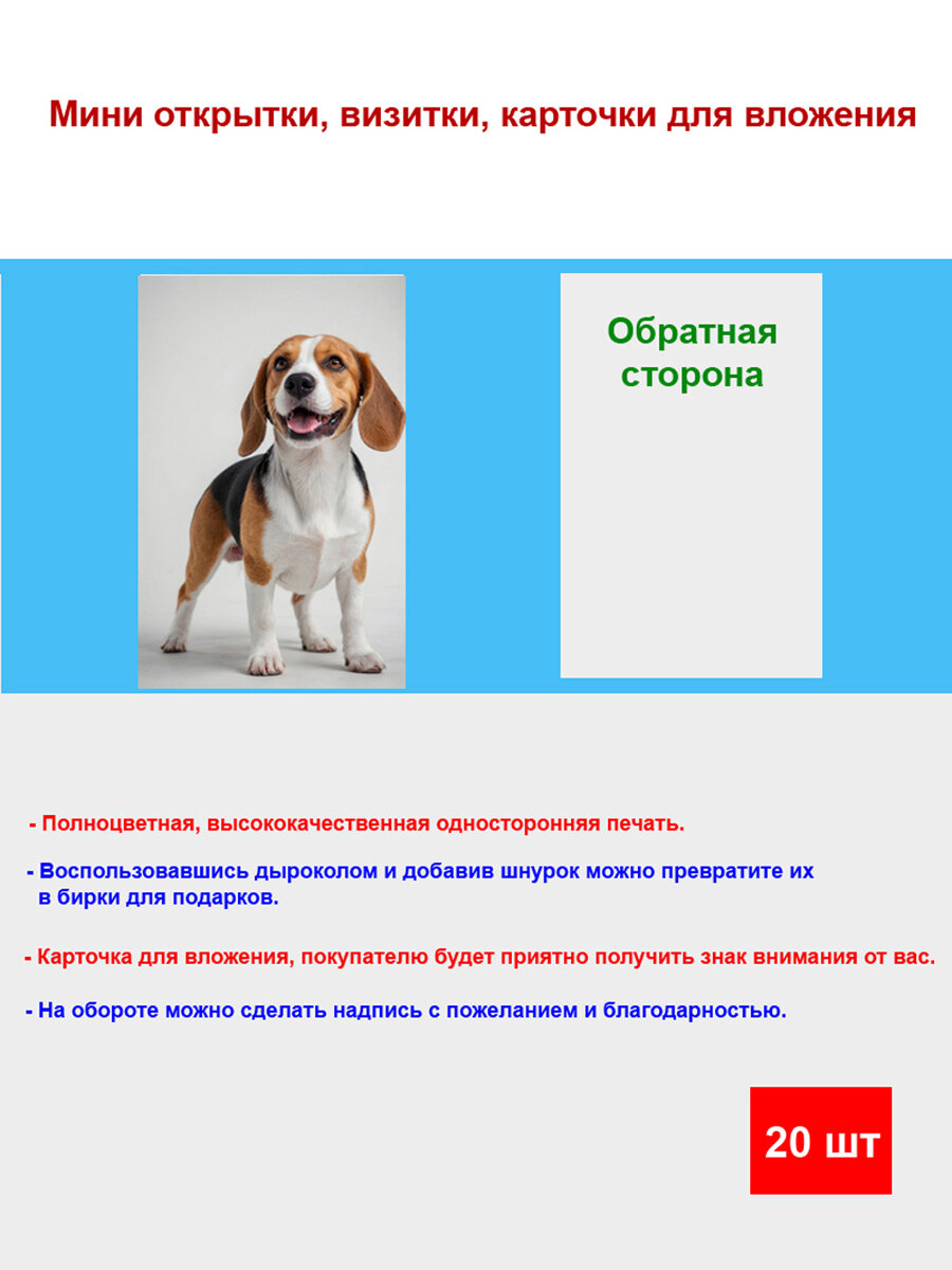 Мини открытка - карточка "Собака породы Бигль", бирка для подарков, односторонние, 20 шт