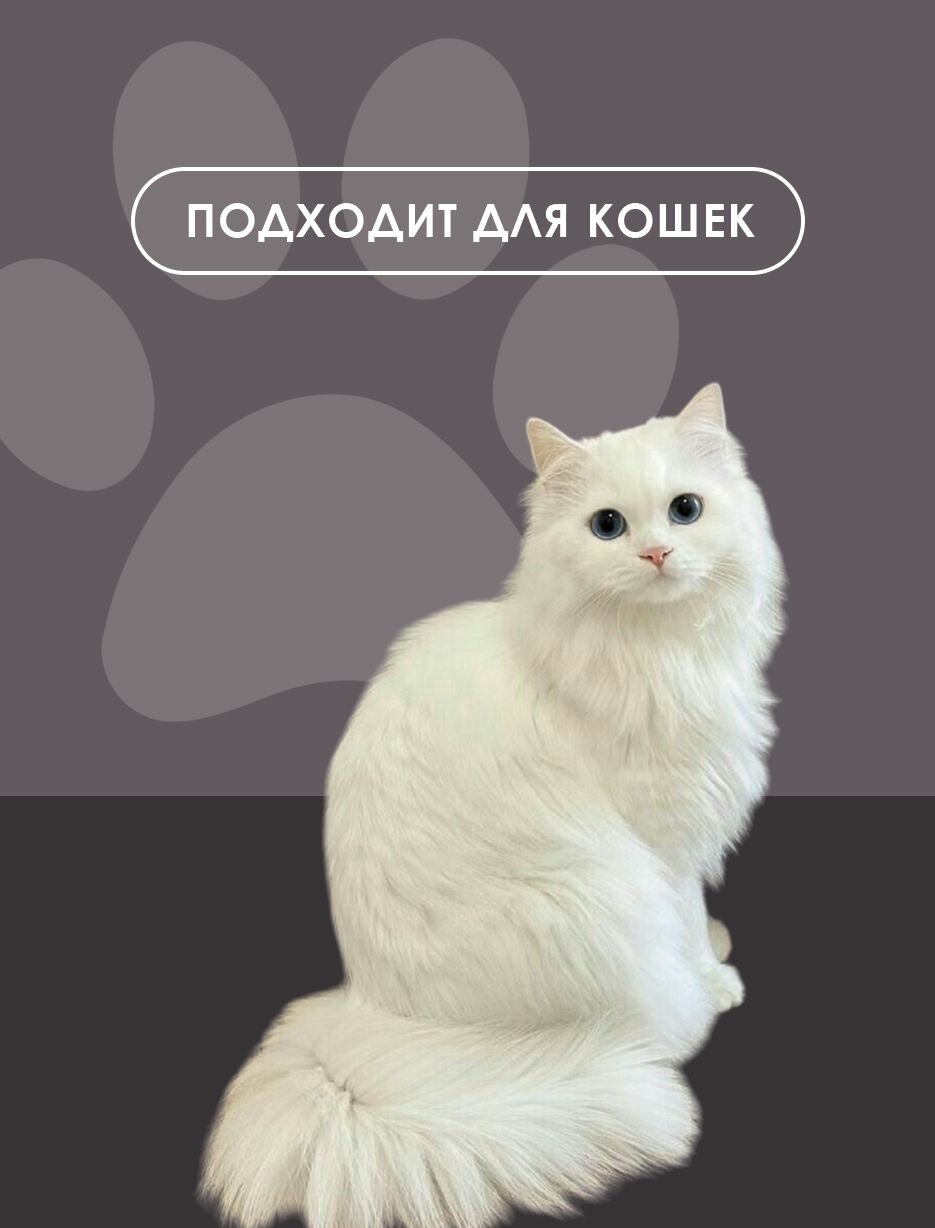 Миска для животных — фото 1