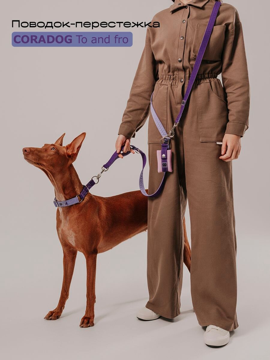 Поводок-перестежка для маленьких собак с ручкой контролем и подвижным кольцом hands free свободные руки, CORADOG To and fro, длина 2,5 м, цвет сиреневый, фиолетовый