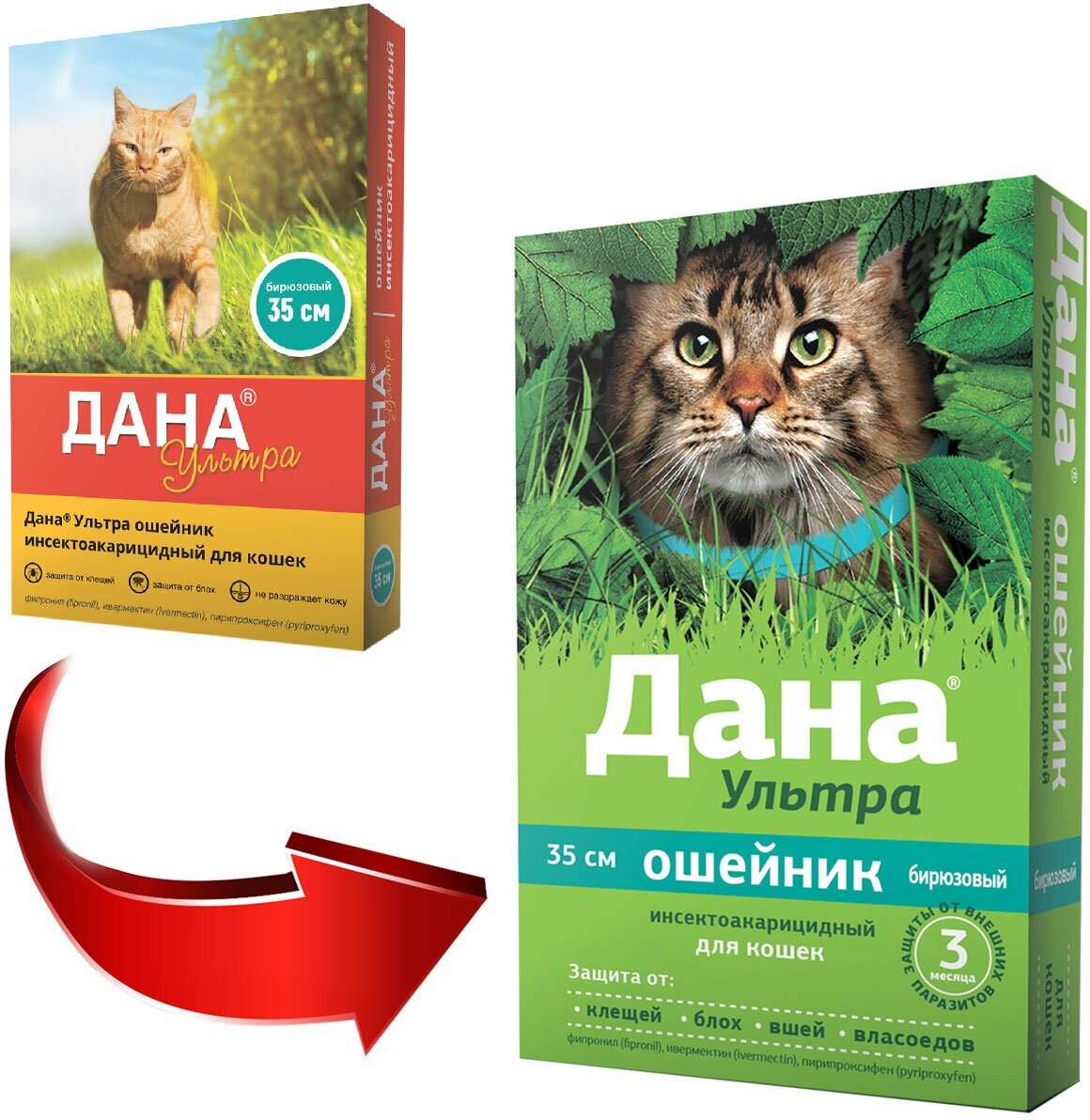 Ошейник от клещей и блох Апиценна Дана ® Ультра для кошек, 35 см, бирюзовый — фото 1