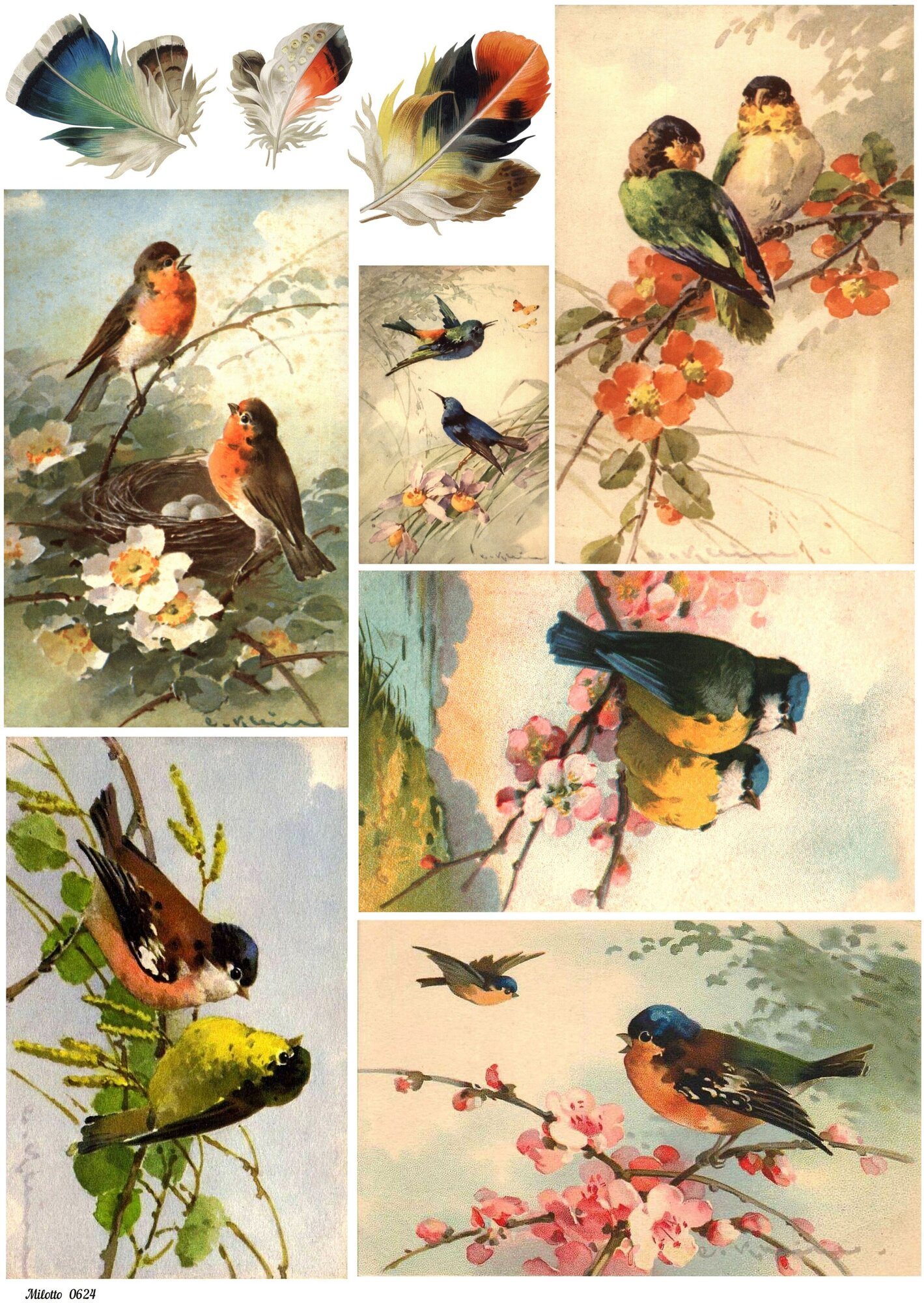 Тонкая рисовая бумага Milotto с изображением пера птицы