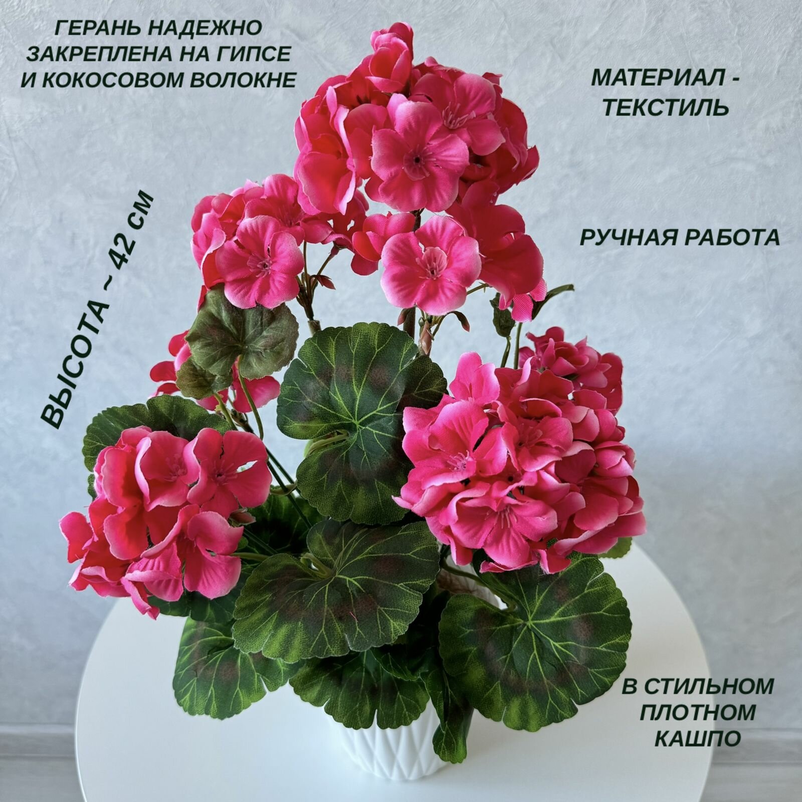 Декоративная герань, премиум качества