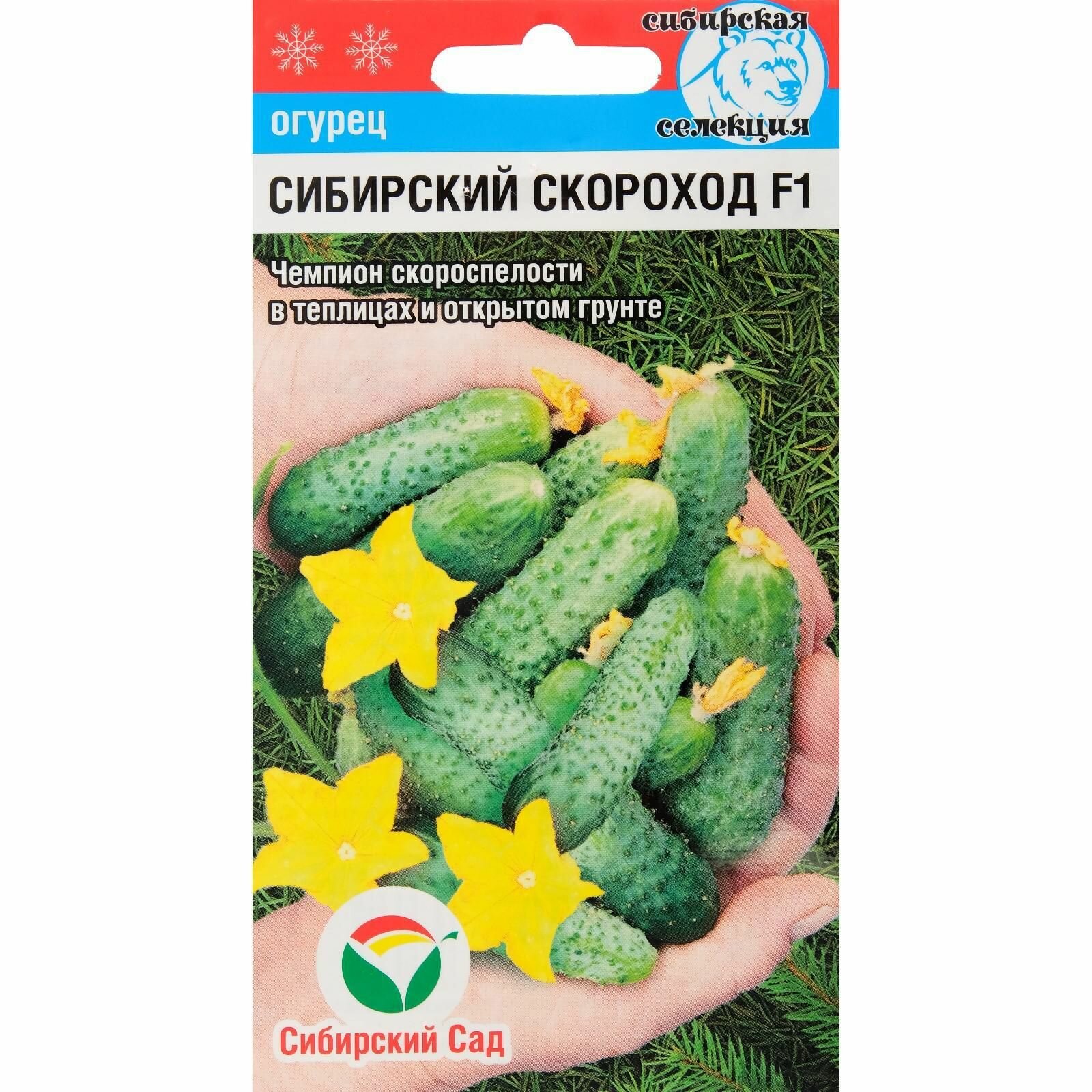Огурец Сибирский скороход F1