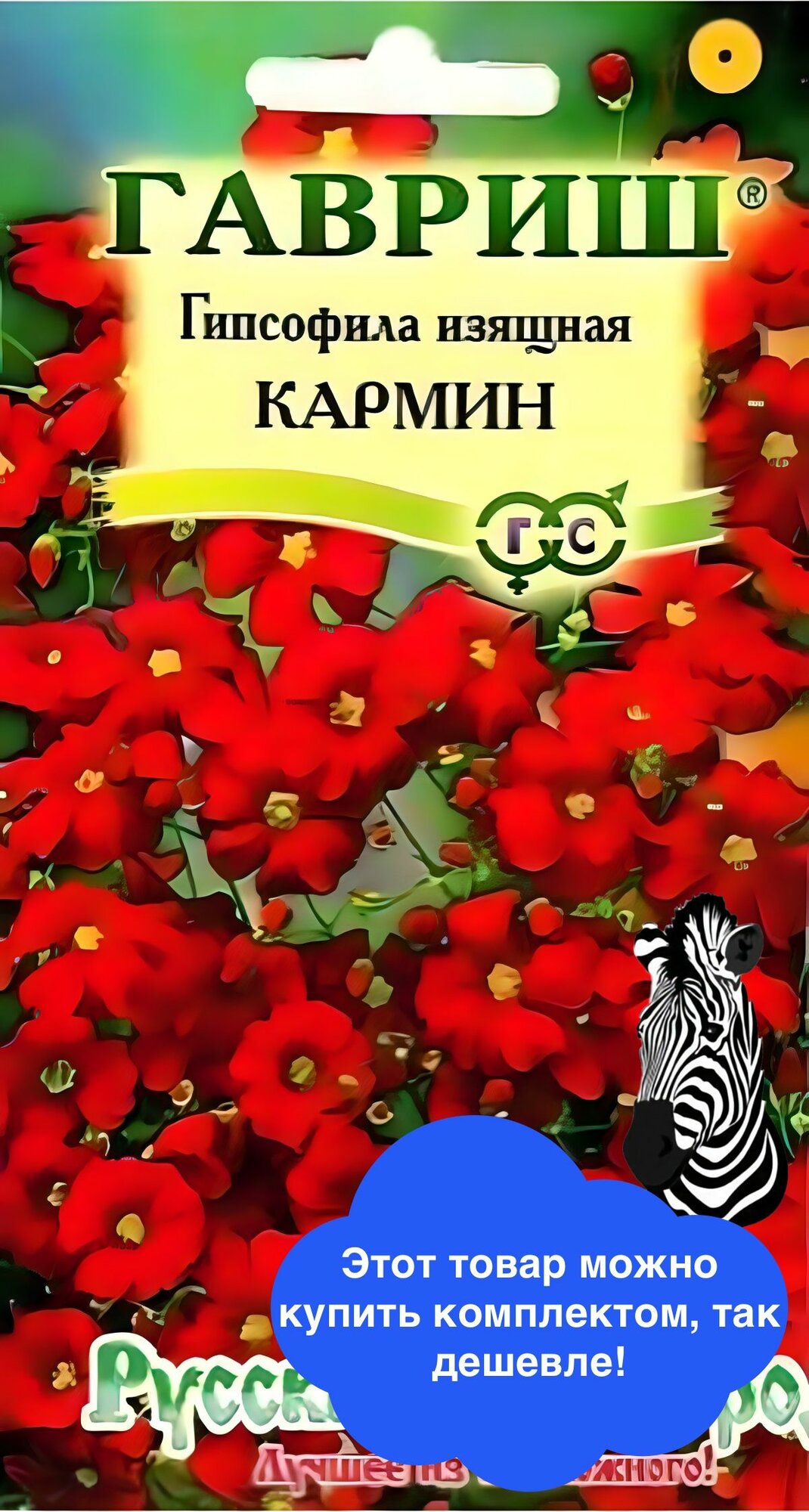 Цветы Гипсофила изящная Кармин