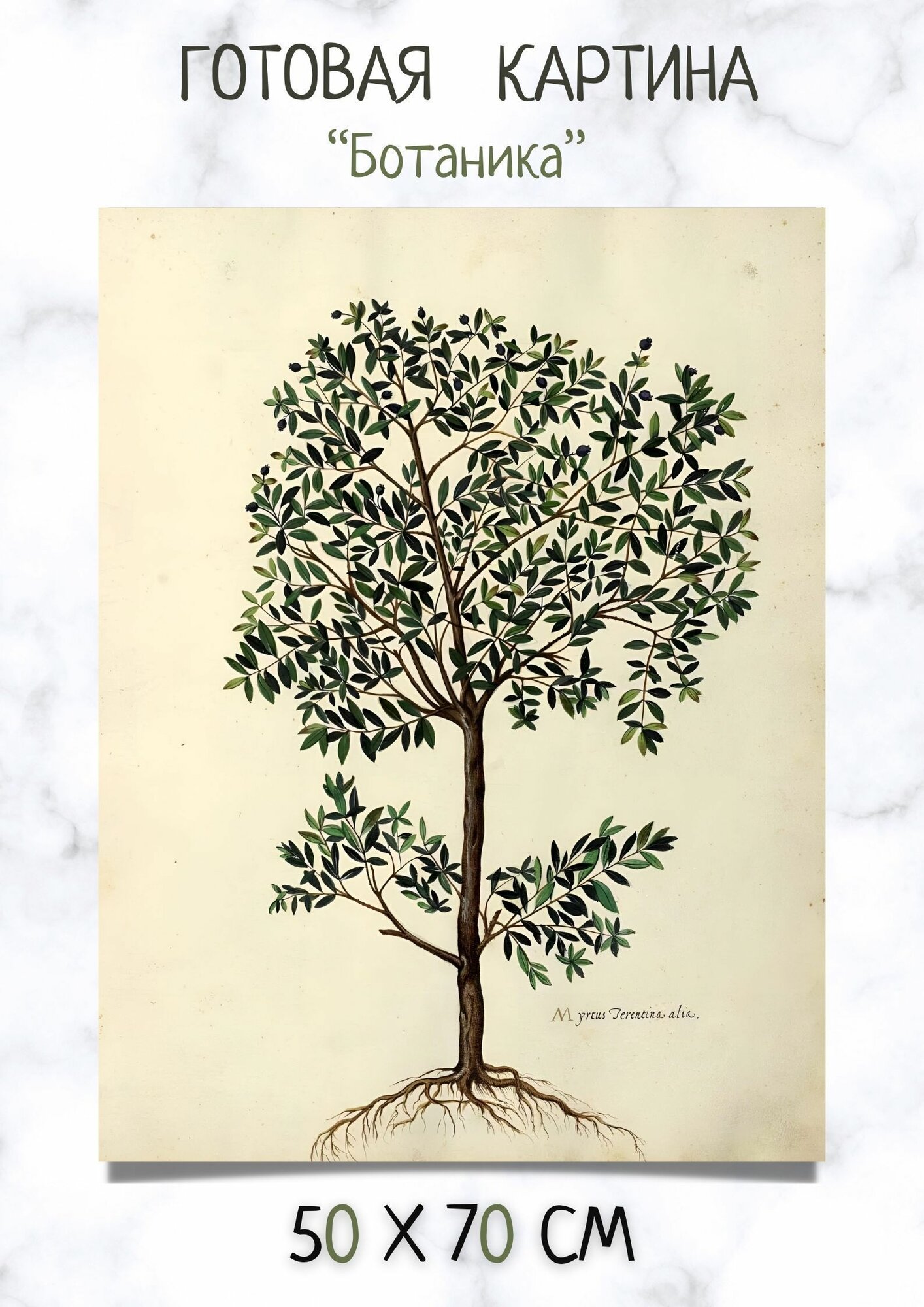 Картина на холсте в стиле Ботаника "Дерево" 70х50