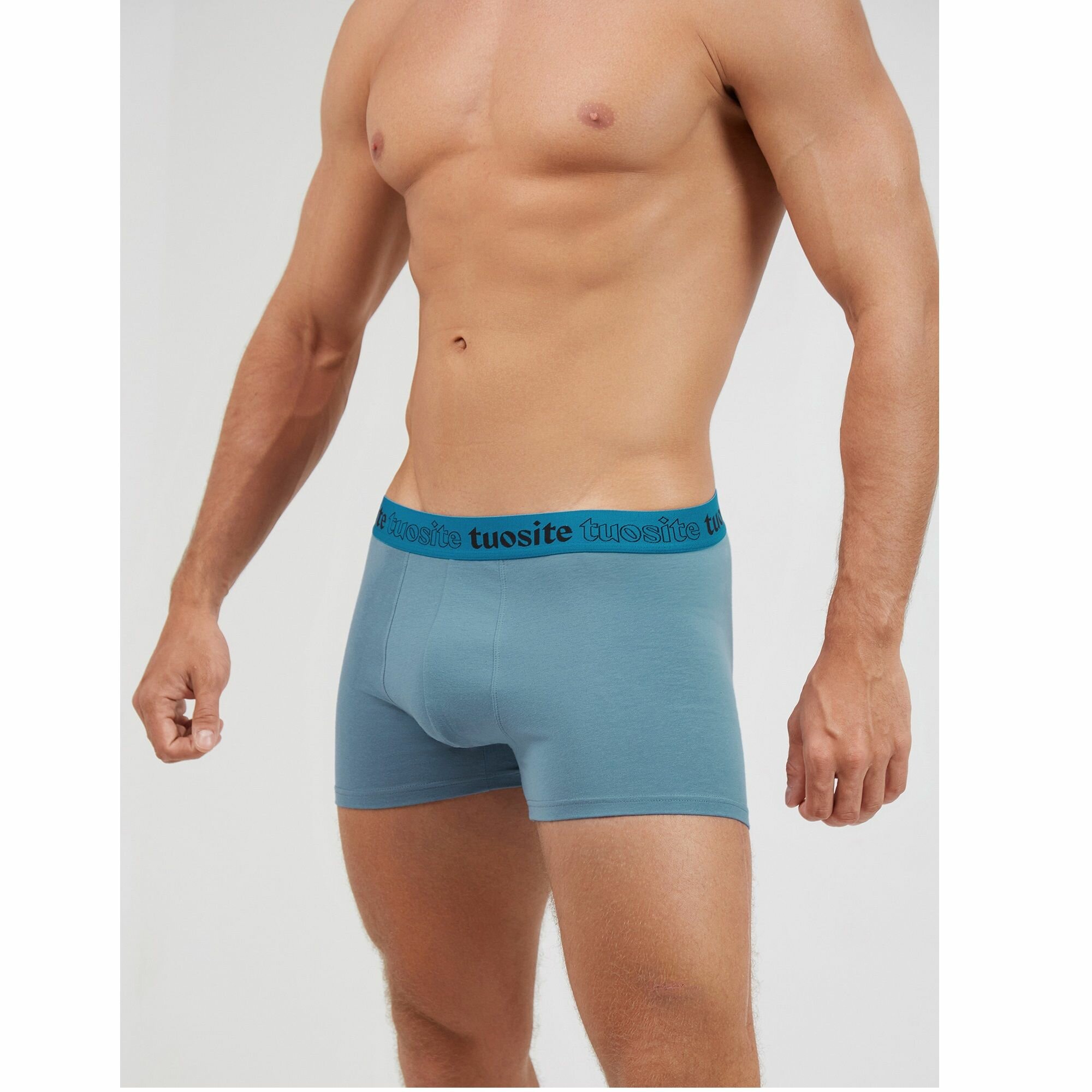 TS4401-5 Мужские трусы-боксеры Tuosite синие однотонные хлопок хб хлопковые туосайт НМ