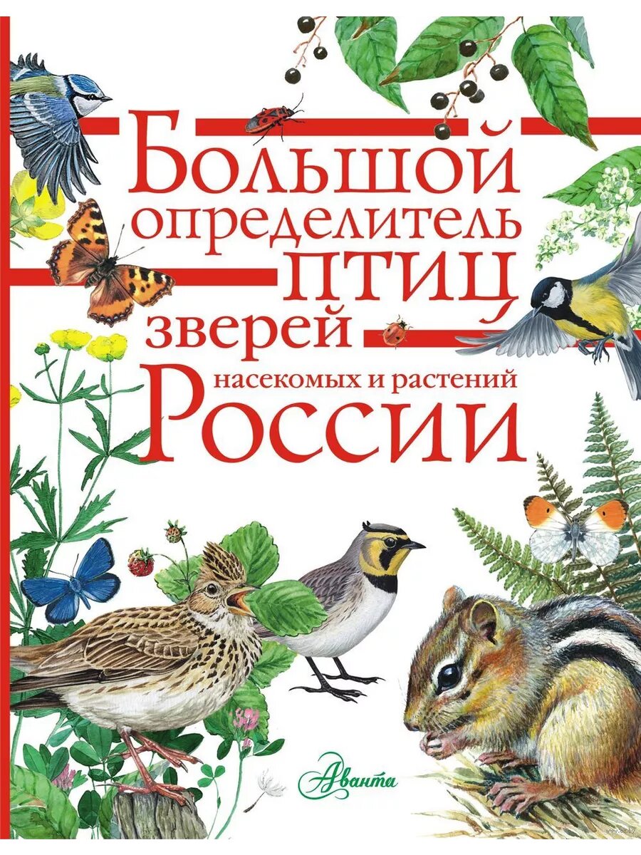 Большой определитель зверей, амфибий, рептилий, птиц, насекомых и растений России