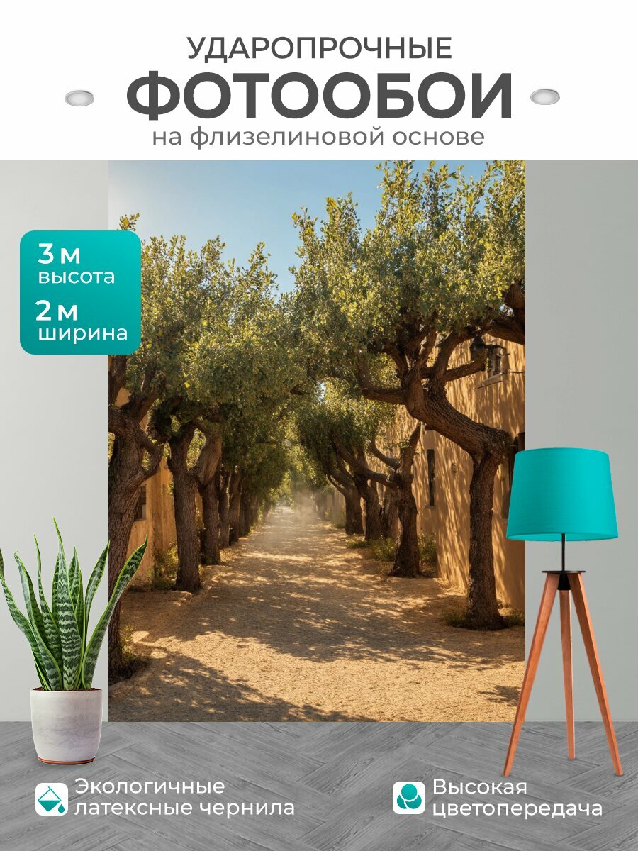 Фотообои моющиеся ударопрочные "Прованс: восход нарисованных лучей освещает старинные оливковые деревья, обрамляющие спокойные дорожки. нежный свет" 200x300 см. флизелиновые на стену