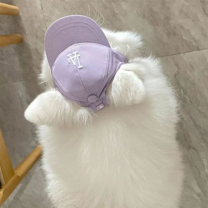 Собака бейсболка TouchuangHangshop