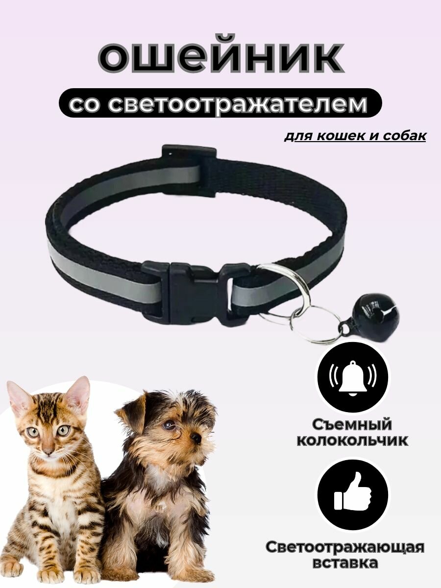 Ошейник с отражателем для кошек и мелких пород собак , черный