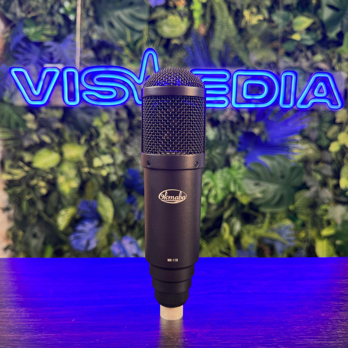 Студийный конденсаторный микрофон Октава МК-119, черный, деревянный футляр