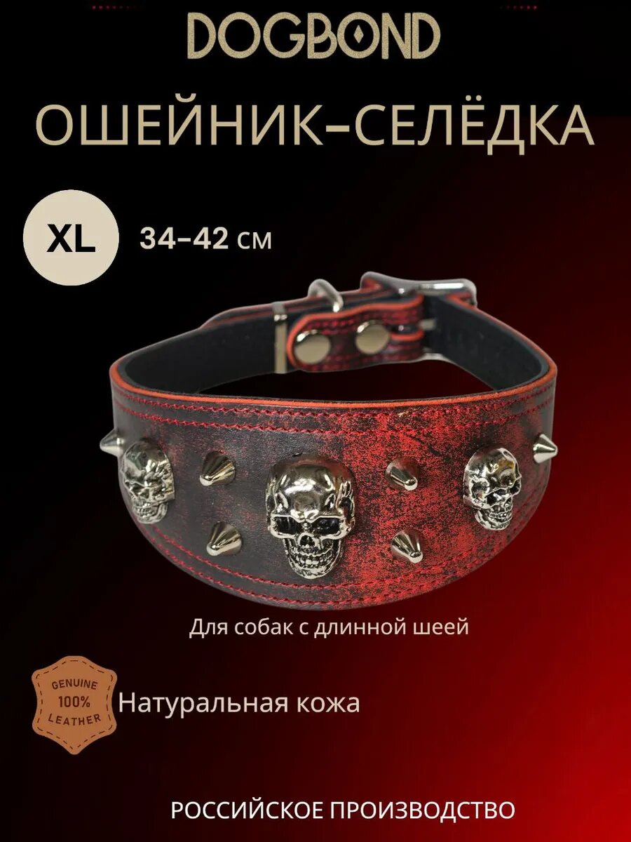 Dogbond ошейник-селедка для грейхаундов и борзых собак