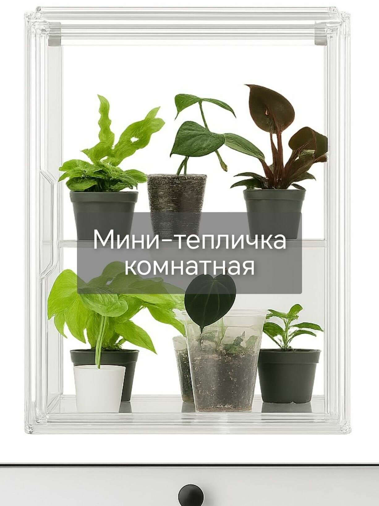 Парник, теплица