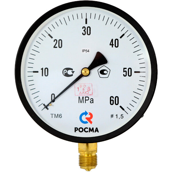 Манометр радиальный Росма ТМ-610Р.00 IP54 (0-60МПа) М20х1.5 1.5 общетехнический специального исполнения, 150мм, тип - ТМ-610Р, радиальное присоединение, шкала (0-60МПа), резьба М20х1.5, класс точности 1.5