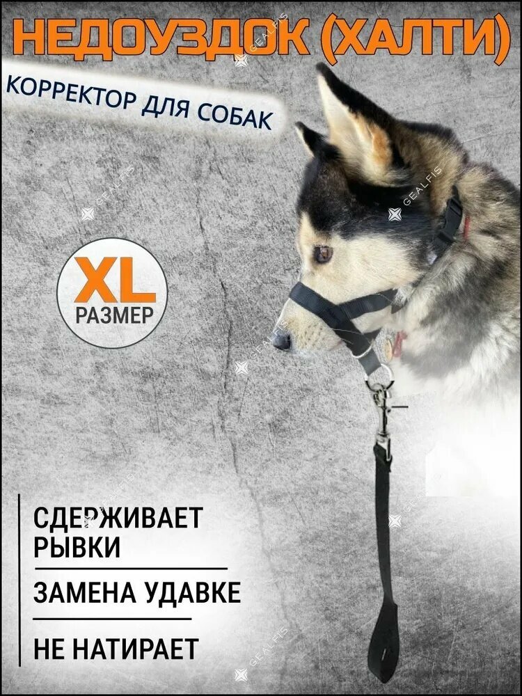 Чехол для пасти / поводок Halti для крупных, средних и маленьких собак с веревкой, размер XL, 1, черный