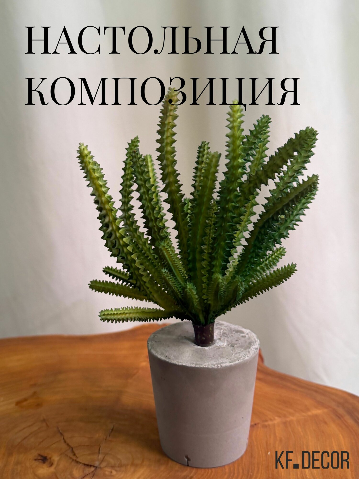 Настольная композиция с суккулентом