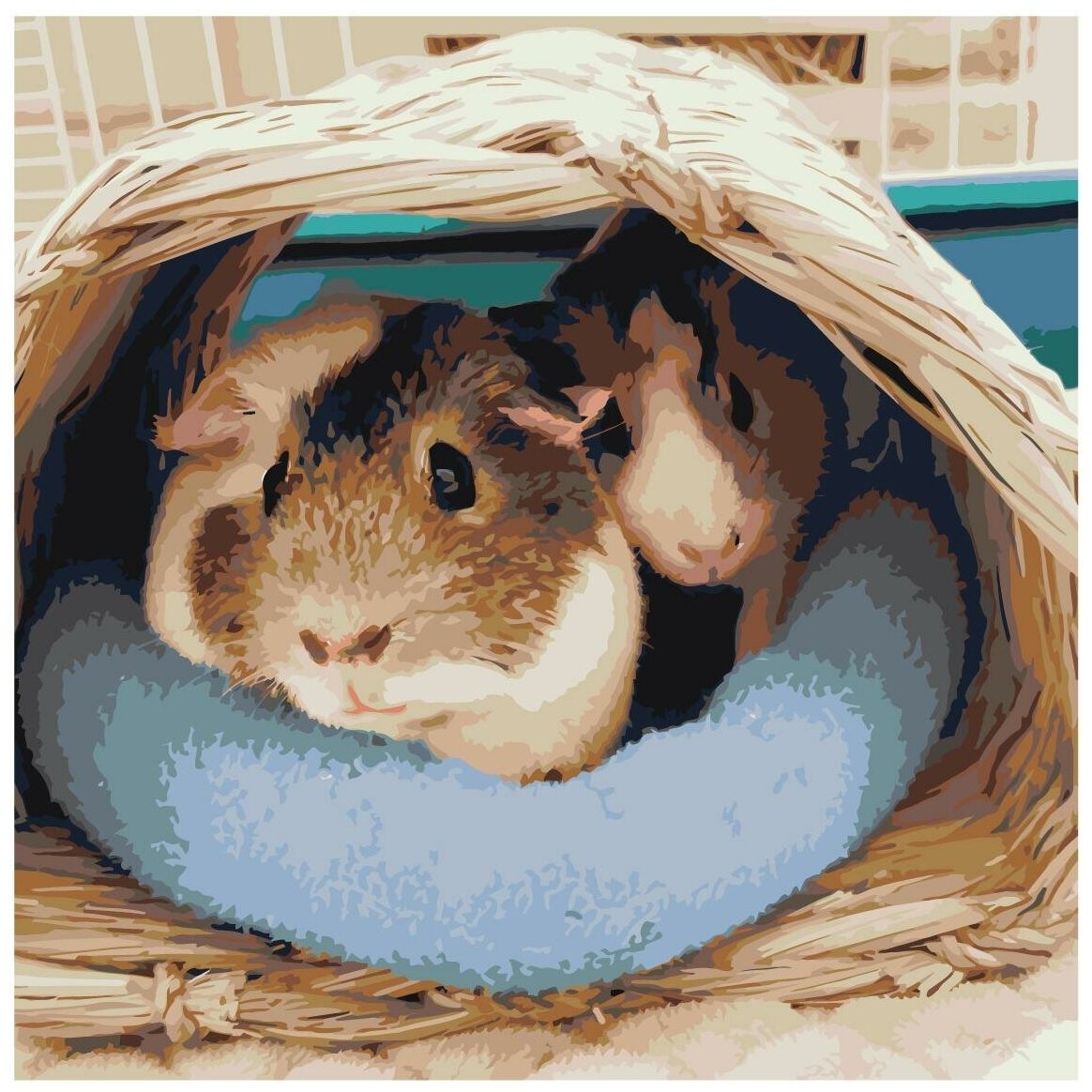 Морские свинки Раскраска картина по номерам на холсте