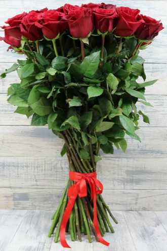 Роза эксплорер 60см 25шт