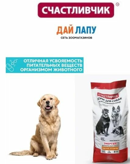 Корм для активных собак сухой, Счастливчик, энергия, Мясное ассорти, 15 кг