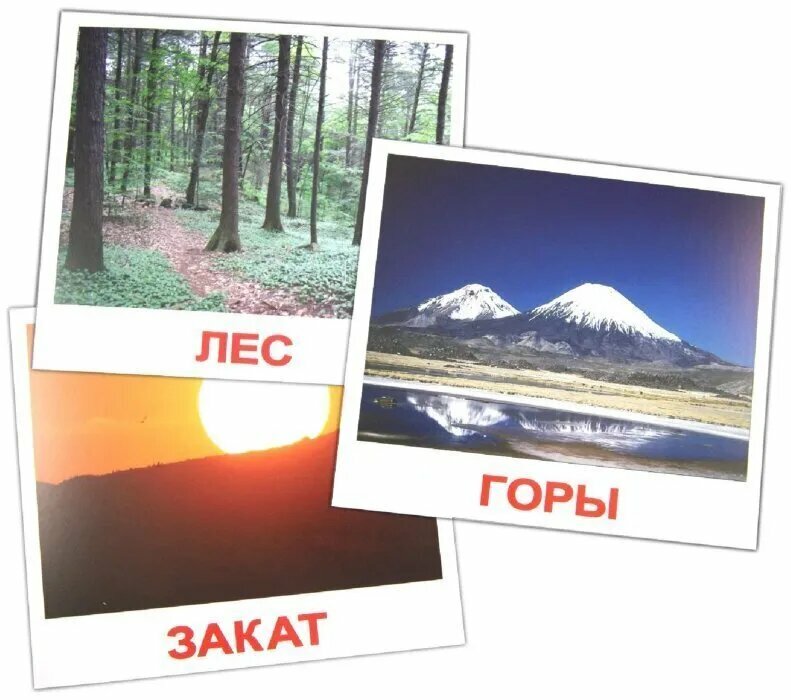 Набор карточек Вундеркинд с пеленок Природа