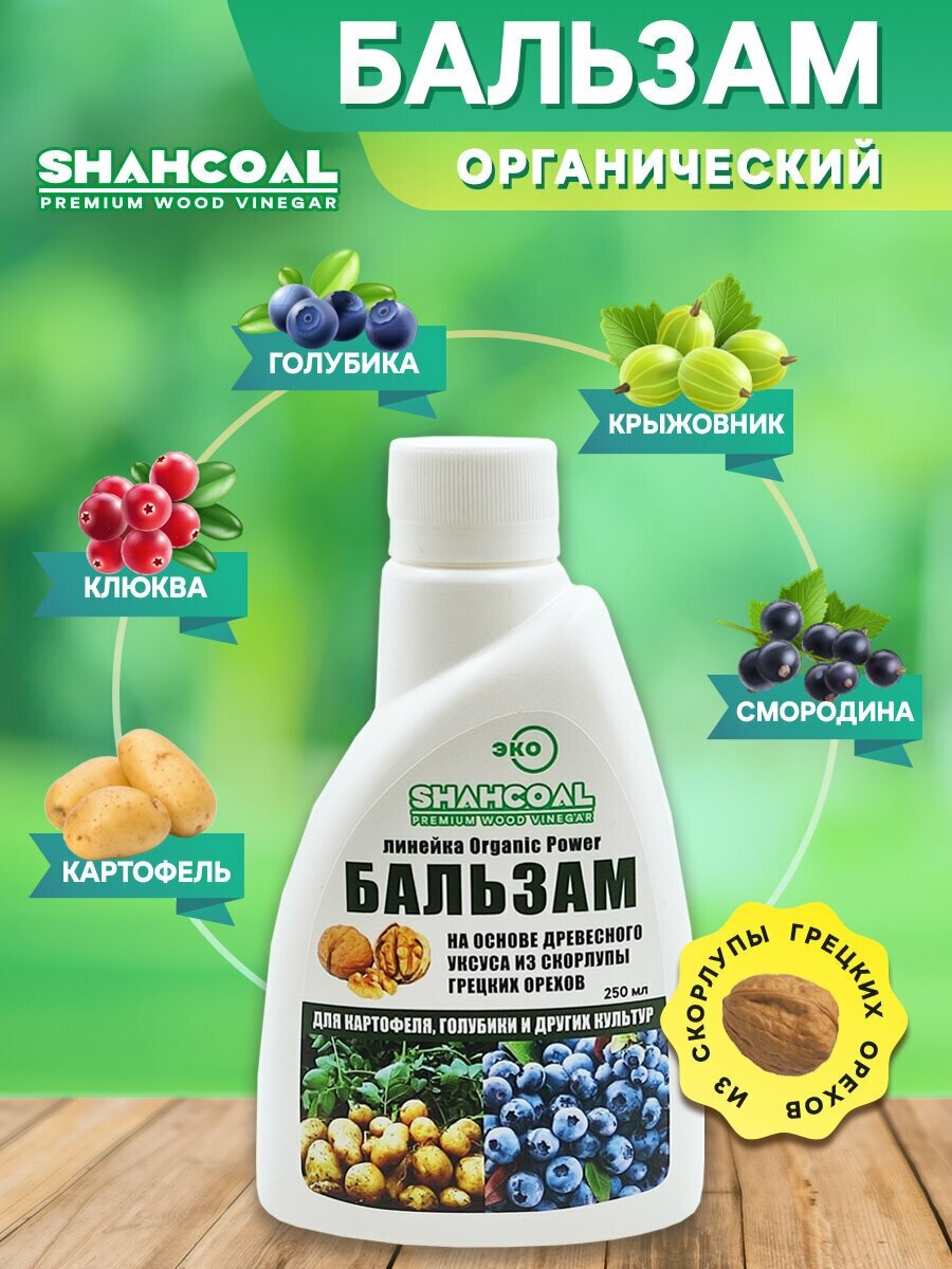 Бальзам для плодово-кустарных культур (крыжовник, смородина, картофель) органическое удобрение концентрат