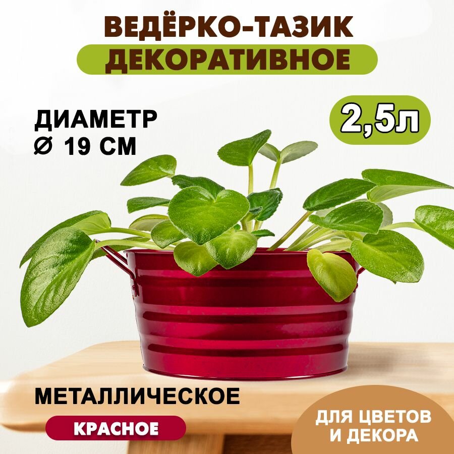 Ведерко-тазик декоративное окрашенное с 2 ручками красное (2,5л.) / Кашпо декоративное (200 х 170 х 100 мм)