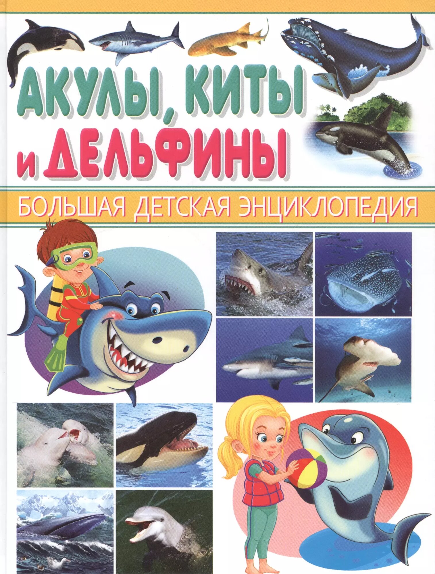 Акулы, киты и дельфины / Сергей Рублёв