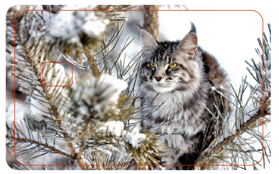 Наклейка на банковскую карту, стикер на карту, Мейн-кун