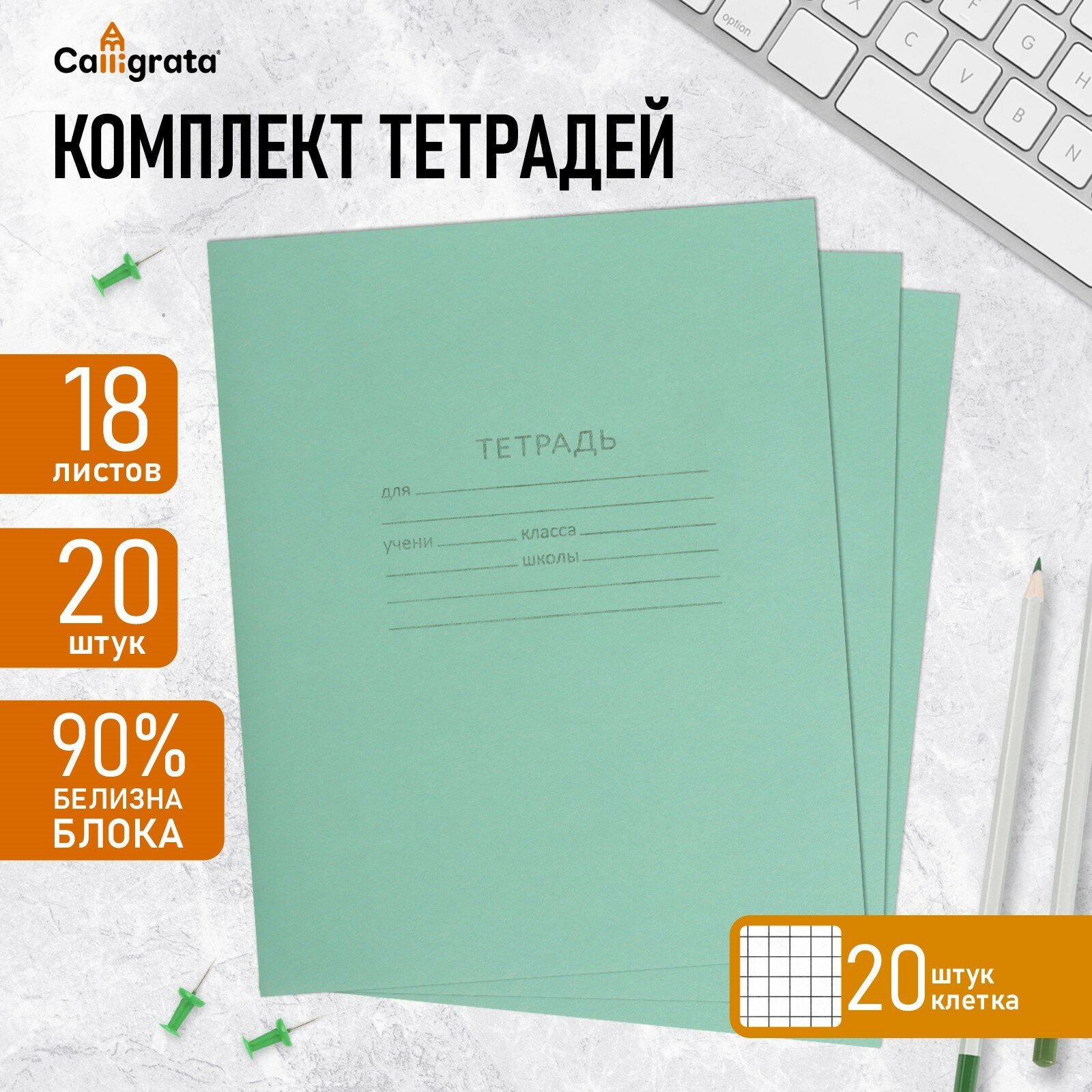Набор тетрадей «Зелёная обложка» 20 штук, 18 листов в клетку, плотность 60 г/м²