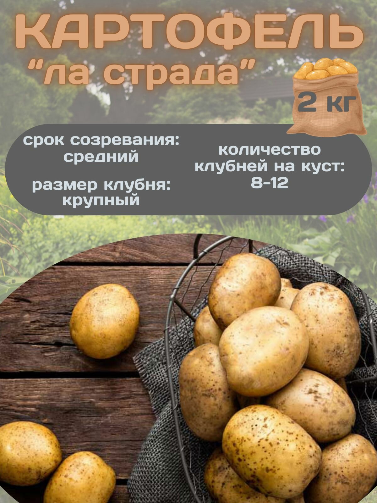 Картофель семенной Ла страда 2 кг, на посадку