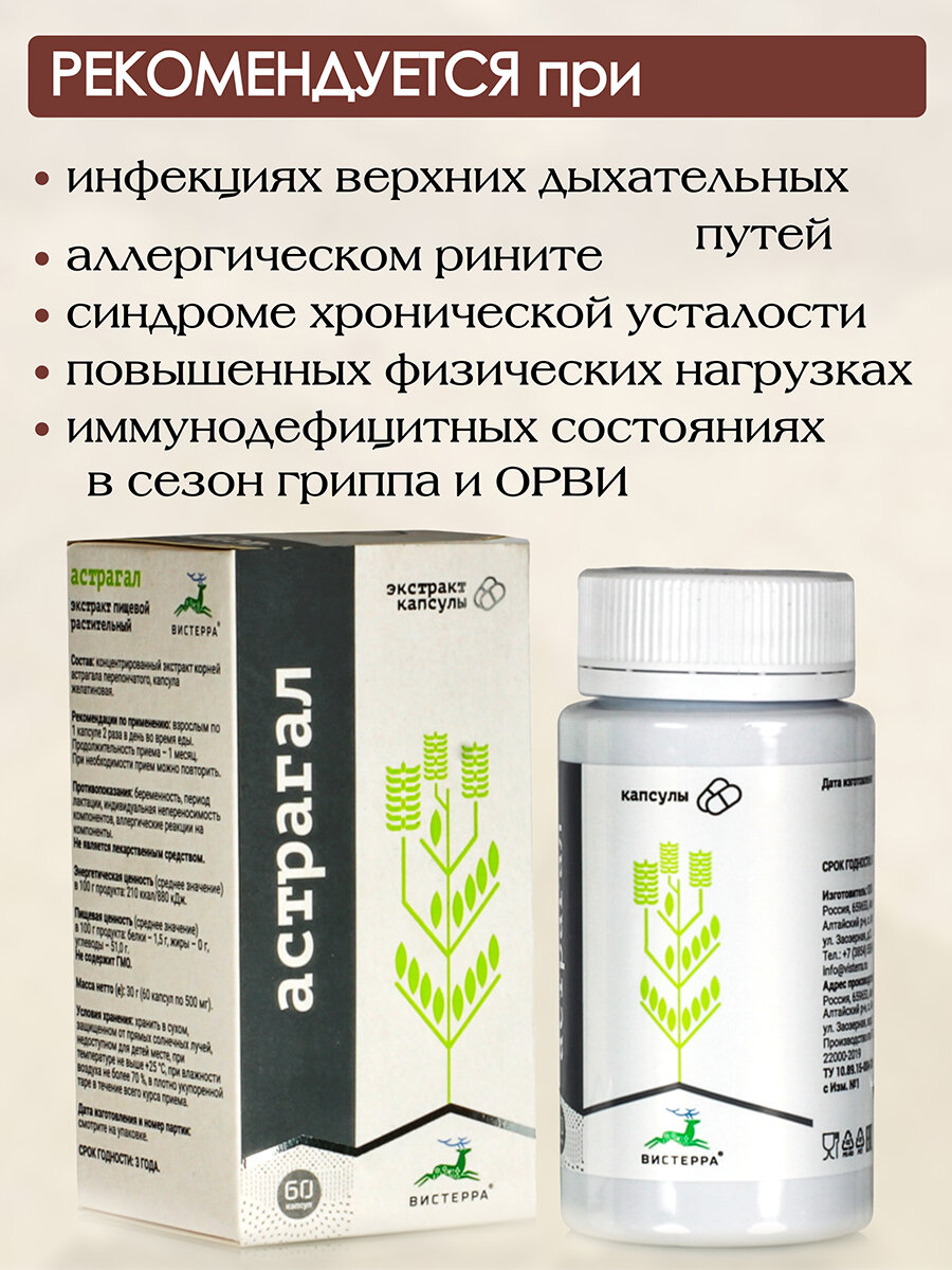Астрагал ( 60 капс ) при физическом и психическом истощении, профилактика онкологии — фото 1