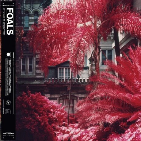Виниловые пластинки, Warner Bros. Records, FOALS - Everything Not Saved Will Be Lost Pt. 1 (LP)
