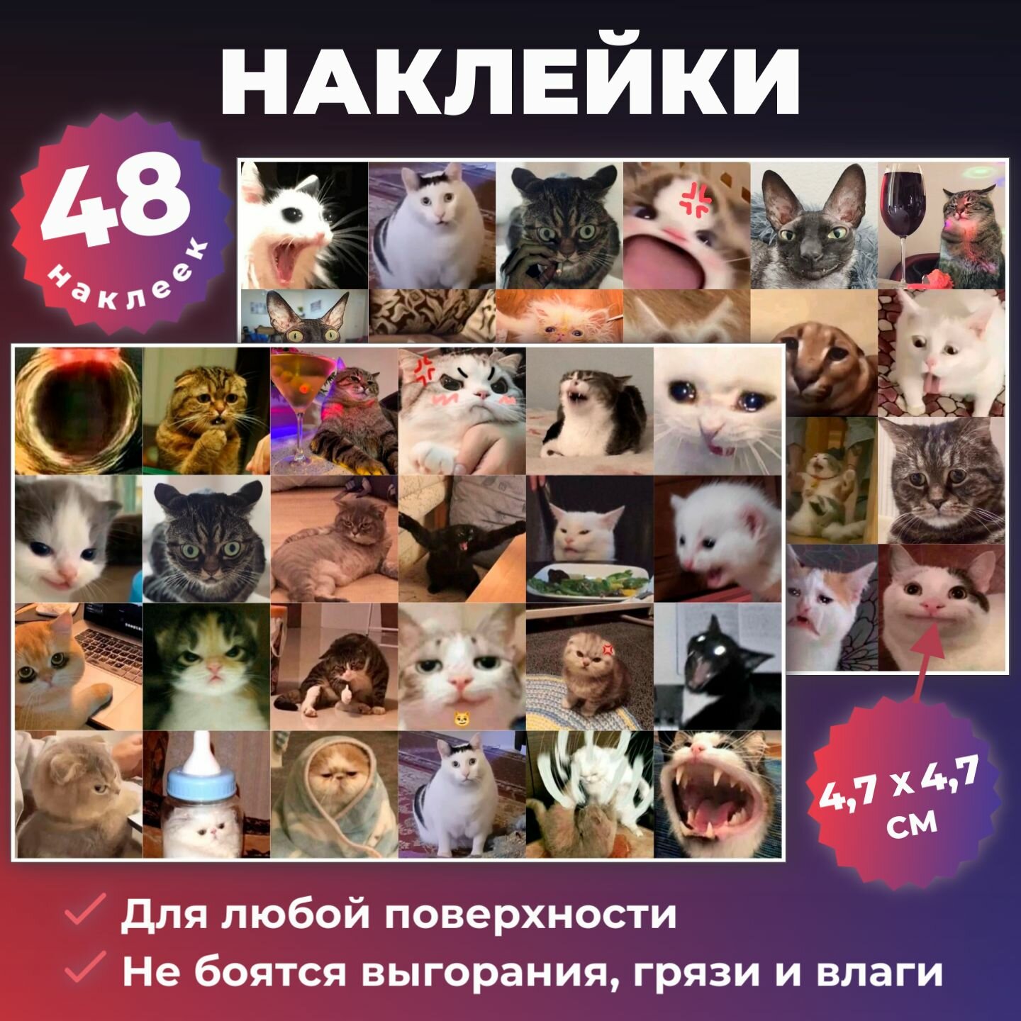 Наклейки на телефон Коты и кошки смешные и эстетичные