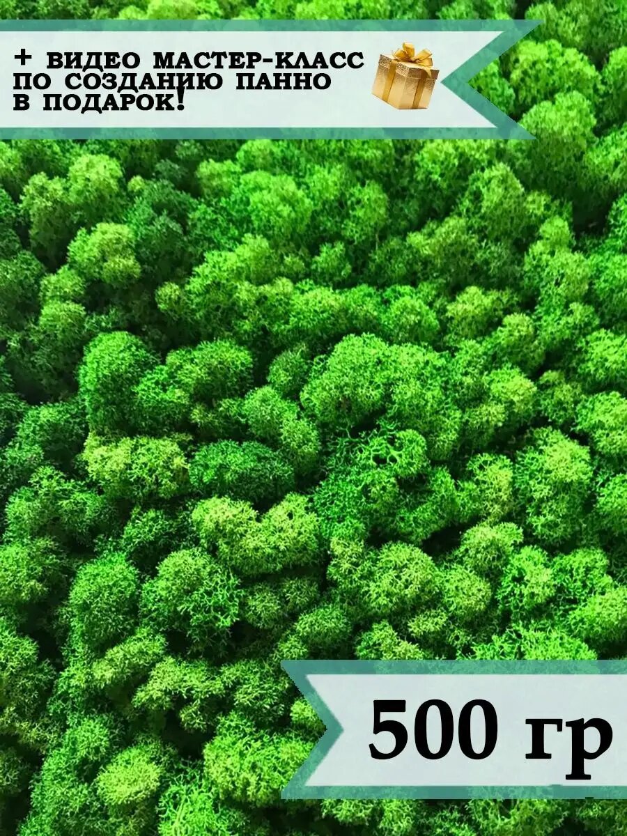 Мох ягель 0,5 кг для декора, дизайна и озеленения