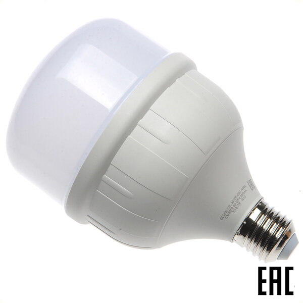 Лампа светодиодная дневной свет 30Вт 660001 GLDEN-HPL-30-230-E27-6500 2150Лм 6500К General (2 шт. в комплекте)