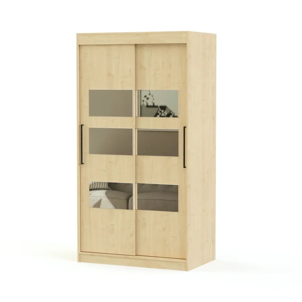 Шкаф-купе Торонто 16