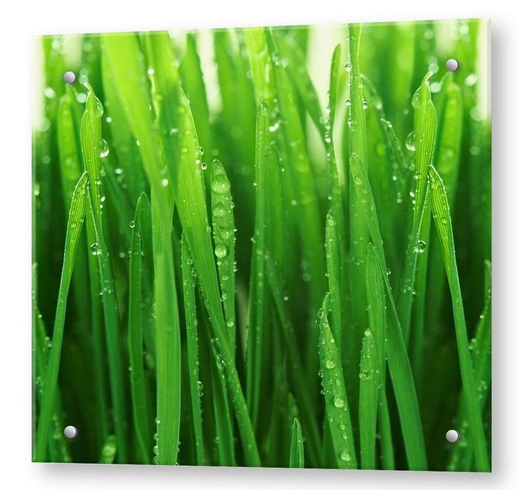 Кухонный экран из закаленного стекла "трава" - (600х600х4 мм)