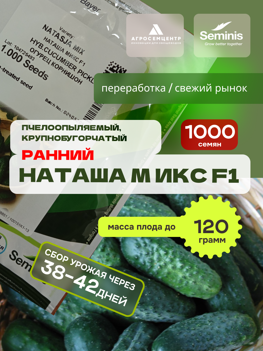 Семена огурца крупнобугорчатого корнишона Seminis "Наташа микс F1", раннеспелые, 1000 шт