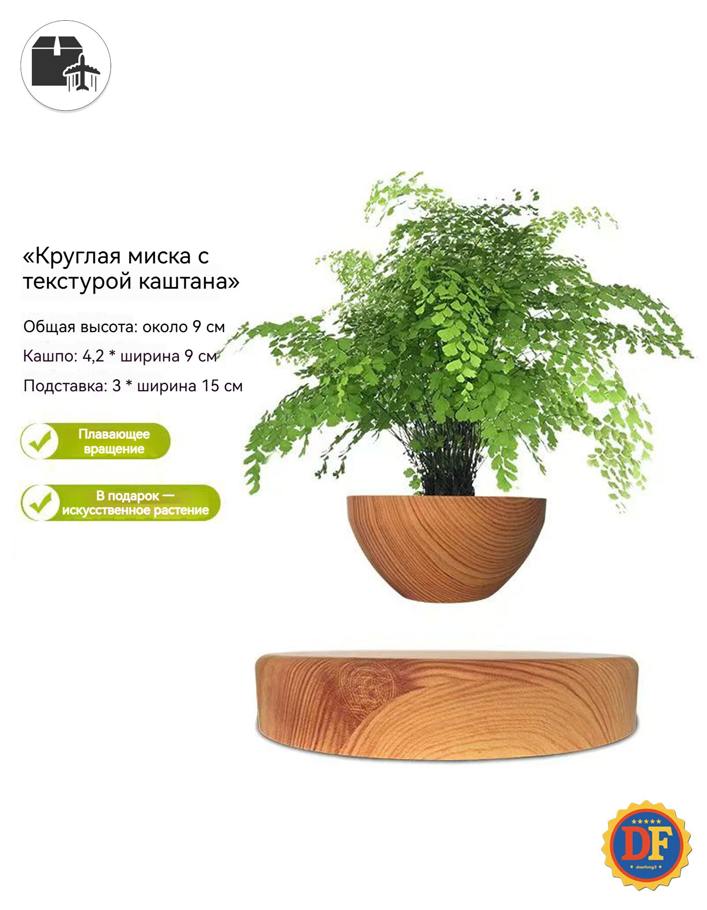 Комнатные растения: комнатные растения (декоративные цветы) + вазоны, высота 10 см, 1 шт.