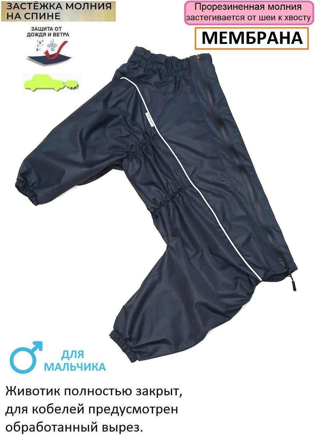 Дождевик для собак средних и крупных пород. Мальчик. Мембрана (50-2 мальчик)